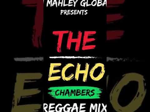 Preview Of The Echo Chambers Episode 1. #dancehall #reggae #reggaenight #reggaedj