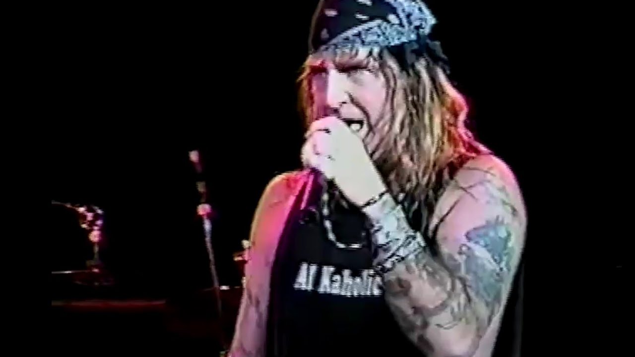 Great White 