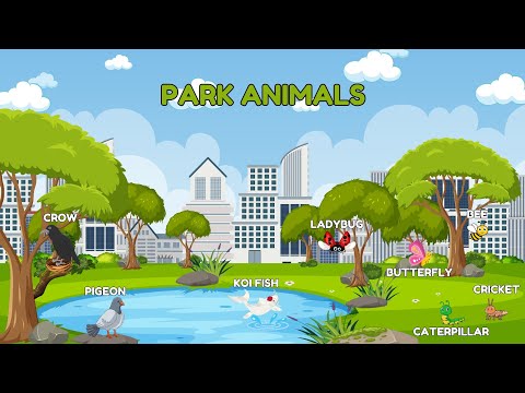 Park Animals | Animal Names for Children