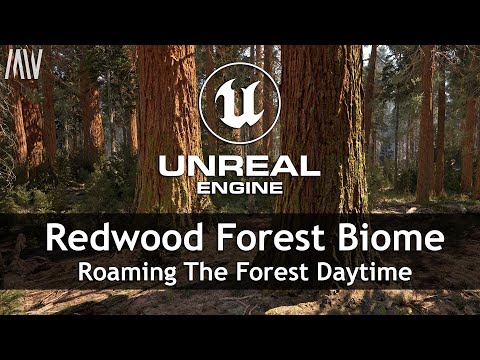أصبح بإمكانكم تحميل الديمو التقني Redwood Forest Biome الخاص بمحرك ...