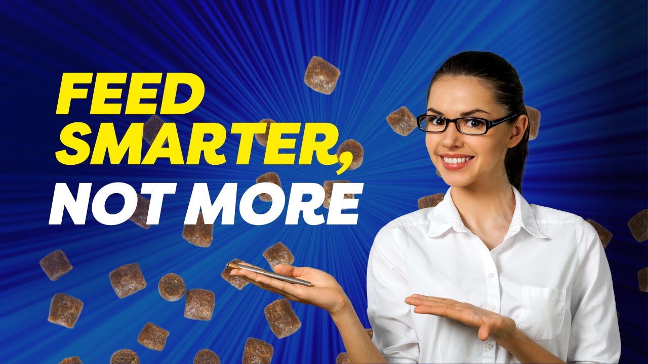 Smarter Feed Formulation for Tilapia