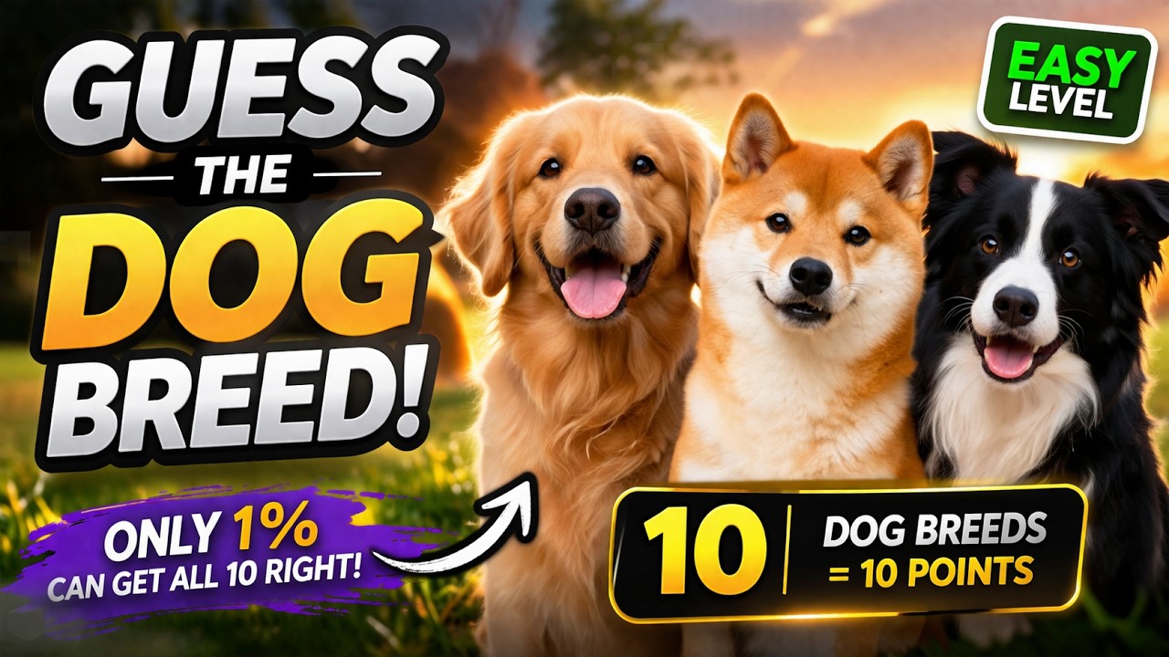 Guess the Dog Breed! Easy Quiz | Only 1% Get All 10 Right