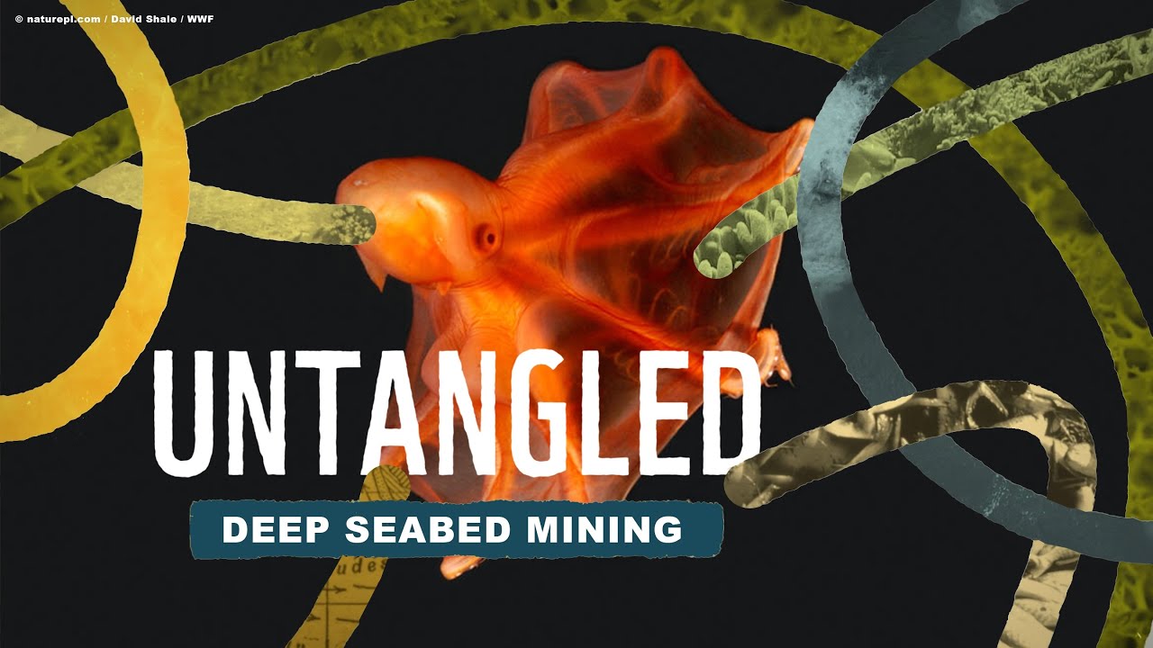 Untangled: Deep seabed mining