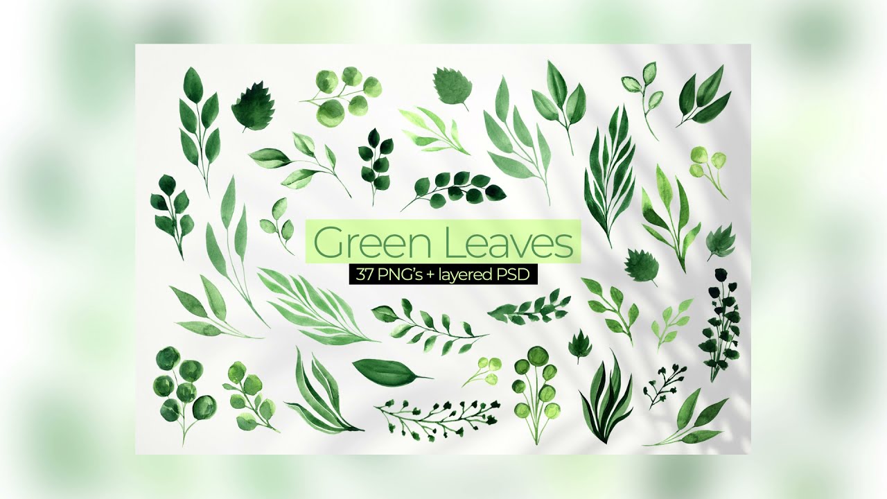 Green Leaves Watercolor Clipart Collection - video presentation