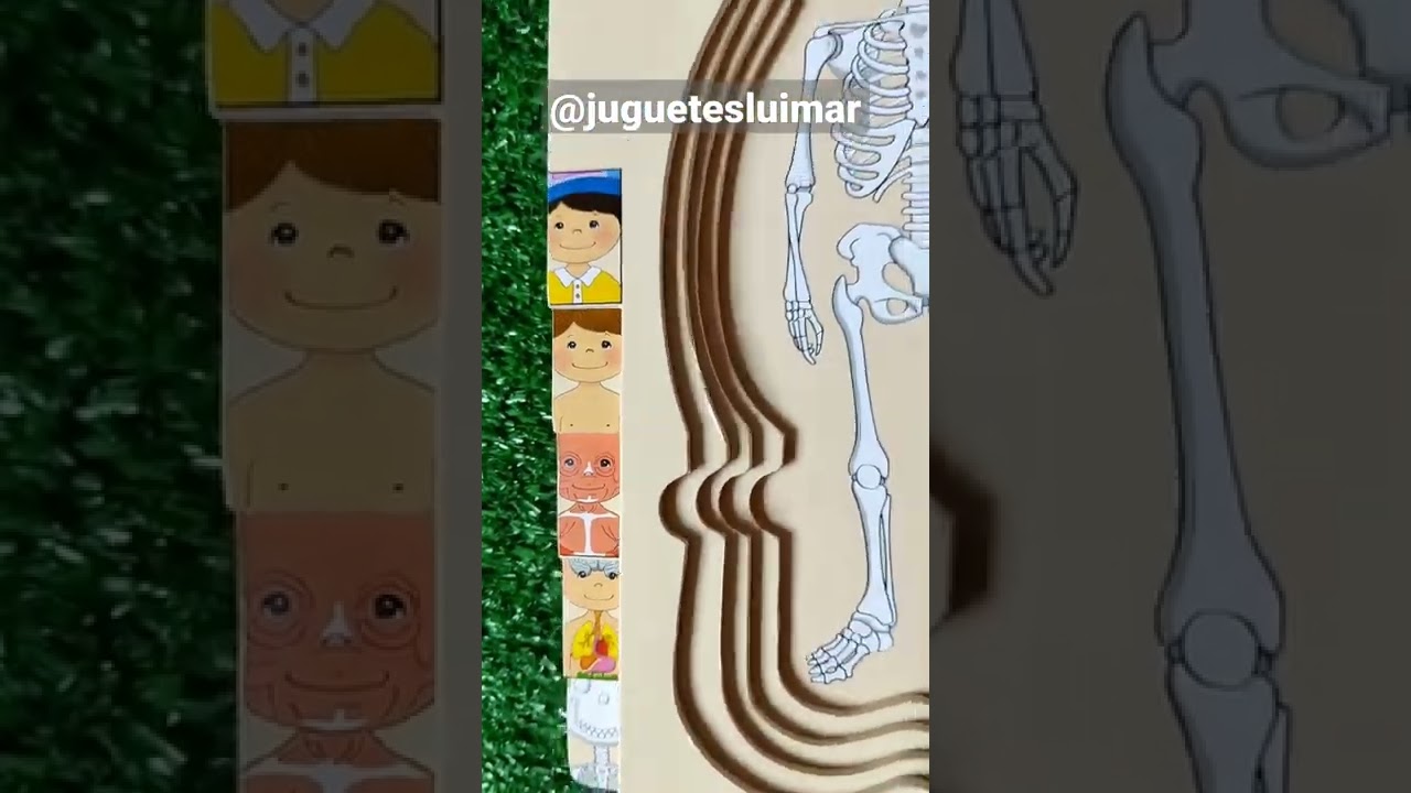 Rompecabeza del cuerpo humano #materialeducativo