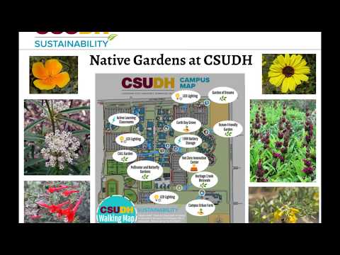 Native Plants 101