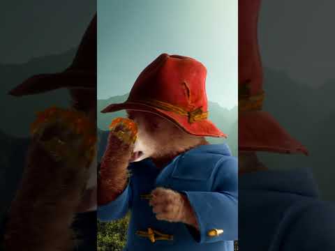 PADDINGTON IN PERU is in cinemas November 8th 2024!