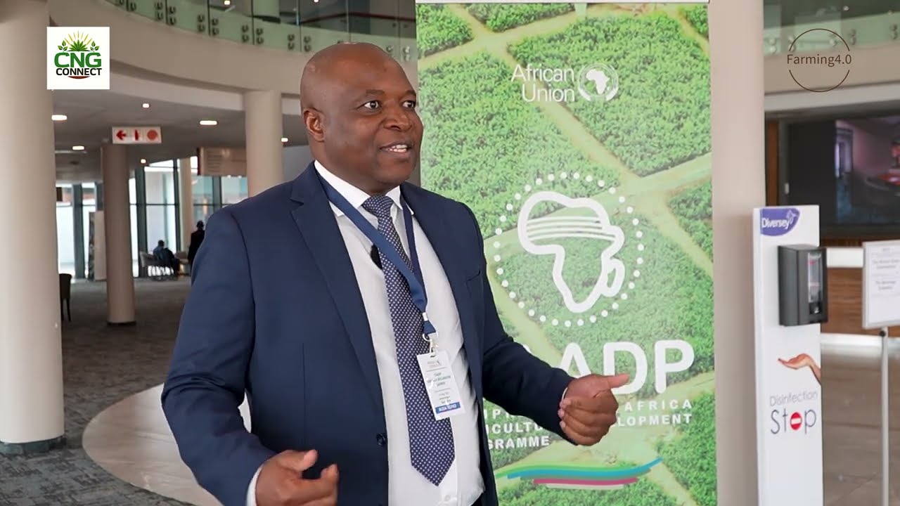 AUDA-NEPAD : Working with members states