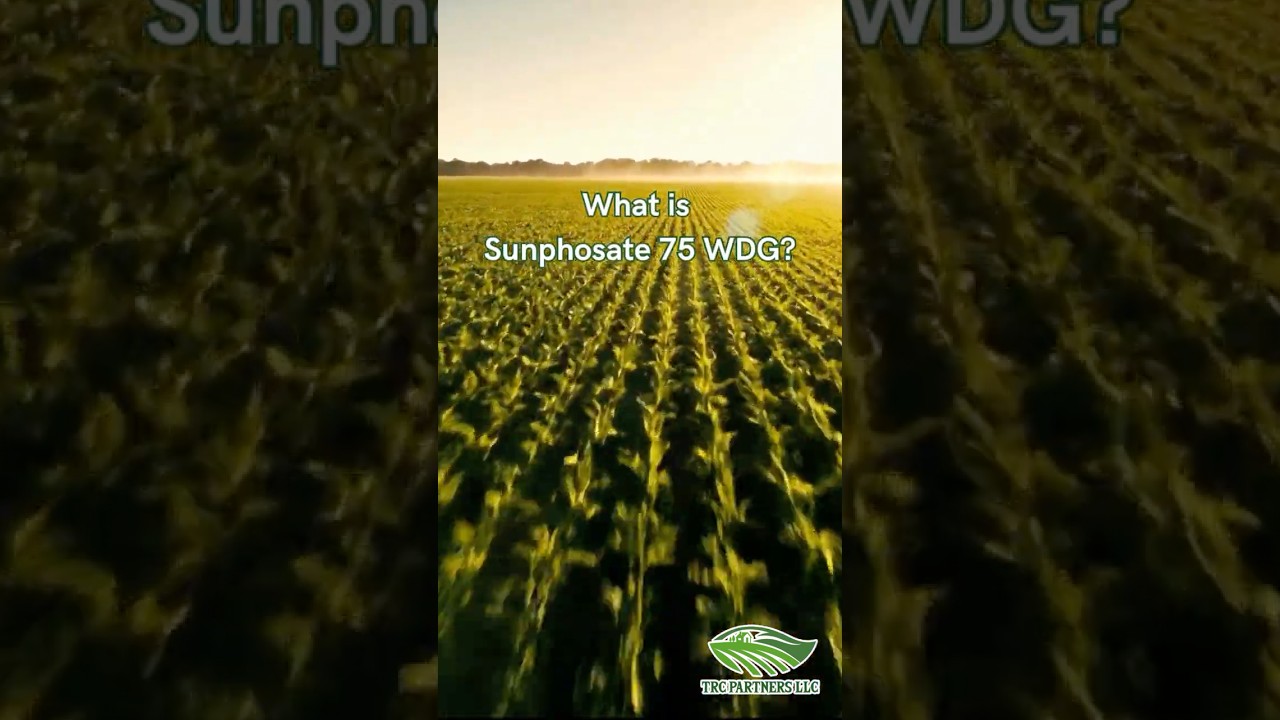 Stop Using Liquid Glyphosate (There’s a Better Way)