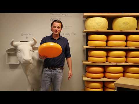 Boska Cheese Replicas (EN)