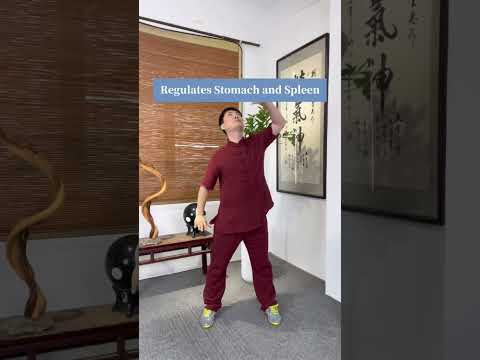 Regular digestive system for Stomach and Spleen. #TaiChi #Taijiquan #MartialArts #TCM #energywork