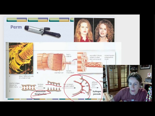 The Science Behind Curling Your Hair: Understanding Keratin and Hair ...