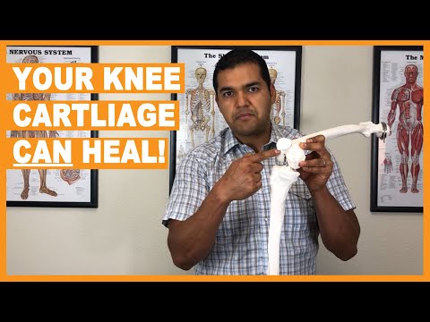 How Knee Cartilage Can Heal Without Surgery