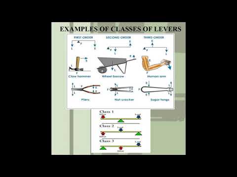 SIMPLE MACHINES LOAD, FULCRUM, EFFORT AND CLASSES OF LEVER