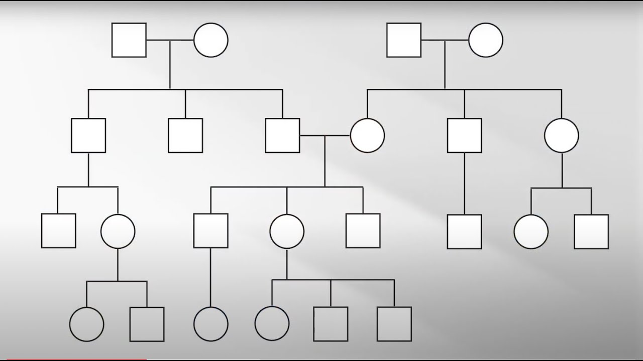 Cascade Genetic Screening Explained by a Genetic Counselor