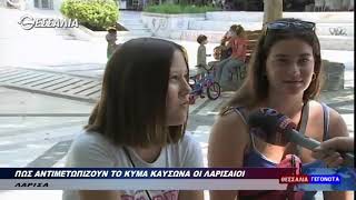 Δείτε Ζωντανά | Θεσσαλία Τηλεόραση - thessaliatv.gr