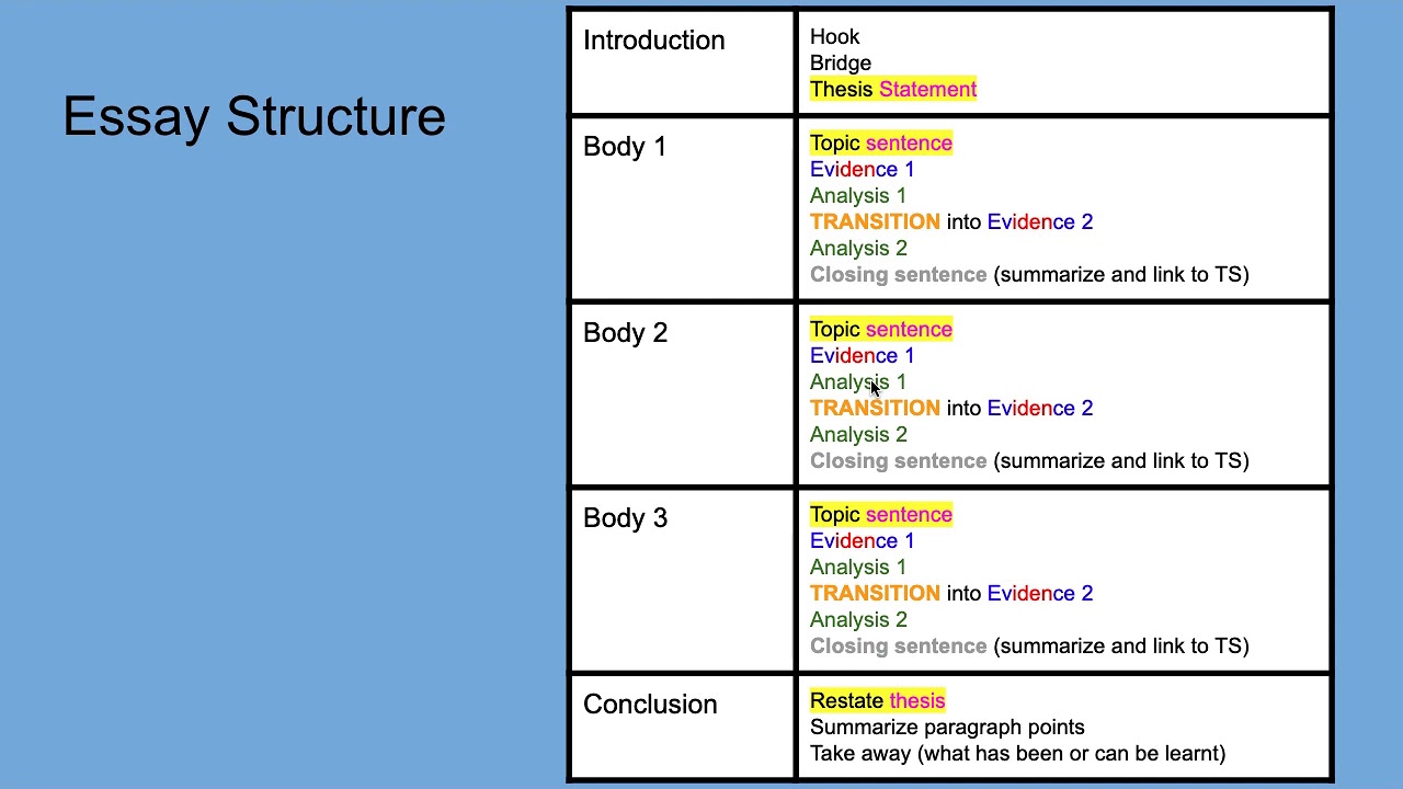 Task 3   The Essay Instructions