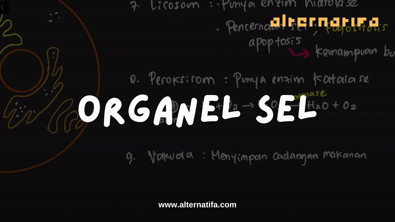 Cell: Cell Organelles | Biology | Alternatives