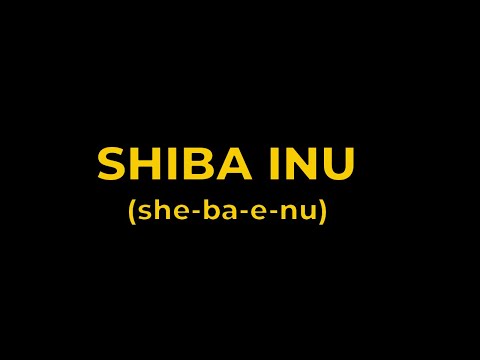 How To Pronounce Shiba Inu - Isaiah Little