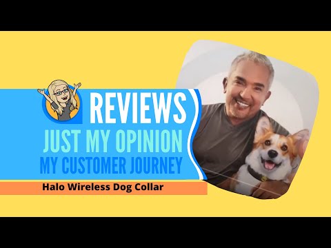 Halo Collar Review - What's in the box