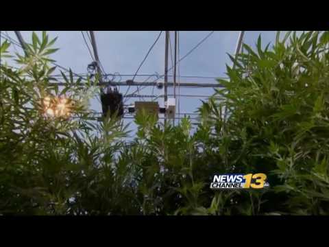 Pot Tax Court Ruling Could Impact Pueblo