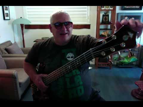 Alembic Scorpion 8-String Bass - Artists Using It | Equipboard