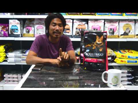 LIMA makanan Kucing REKOMENDASI versi O PET LOVE CAT