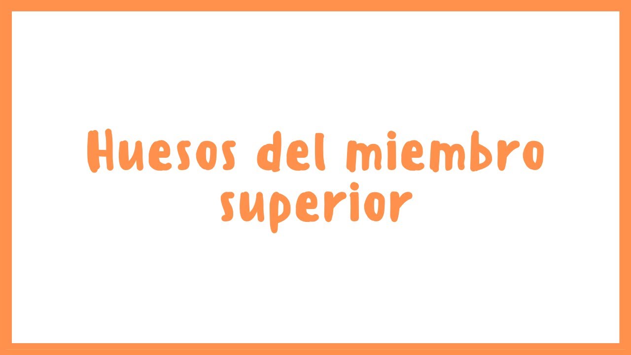 ¿Cuáles son las partes del miembro superior? – VALETRY