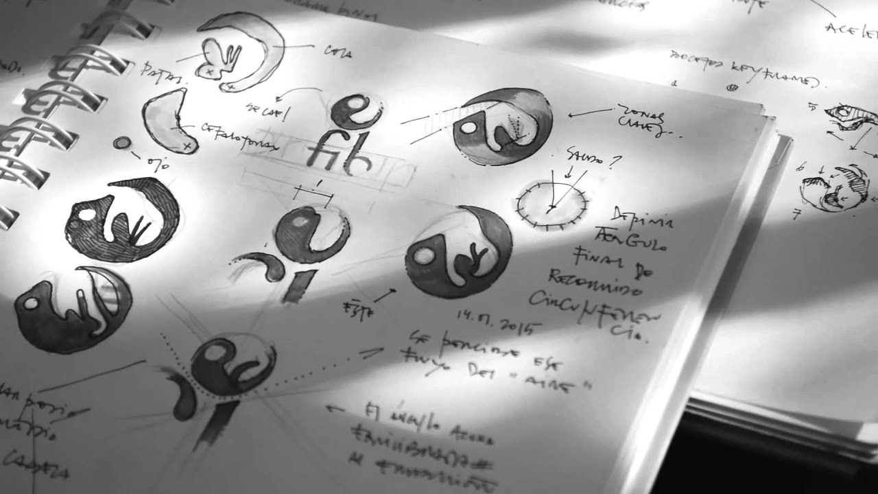 Anfibia Ediciones - Teaser