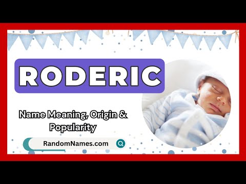 Roderic - Baby Boy Name Meaning, Origin & Popularity - RandomNames.com