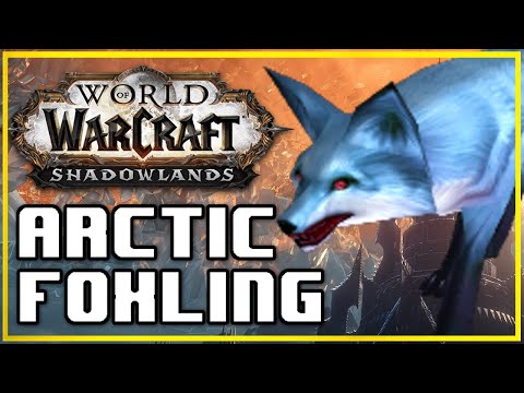 Arctic Foxling! Pet Battle PvP! World of Warcraft Shadowlands Competitive Battle Pet Battles Guide!