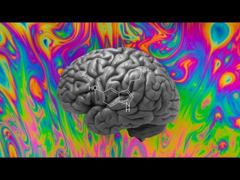 The Sad Truth About Serotonin | SSRIs, LSD & Depression