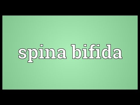 Spina bifida Meaning