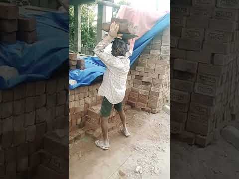 hardwork@a labour lifting huge weight of bricks@ definition of hardwork