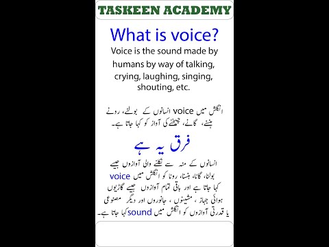 Difference between sound and voice | Learn English through Urdu
