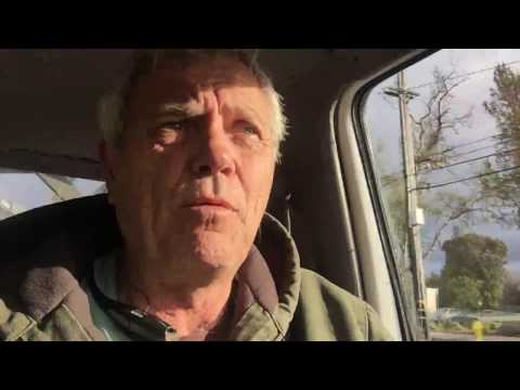 What does Arborist Consulting mean?