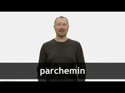 English Translation of “PARCHEMIN” | Collins French-English Dictionary