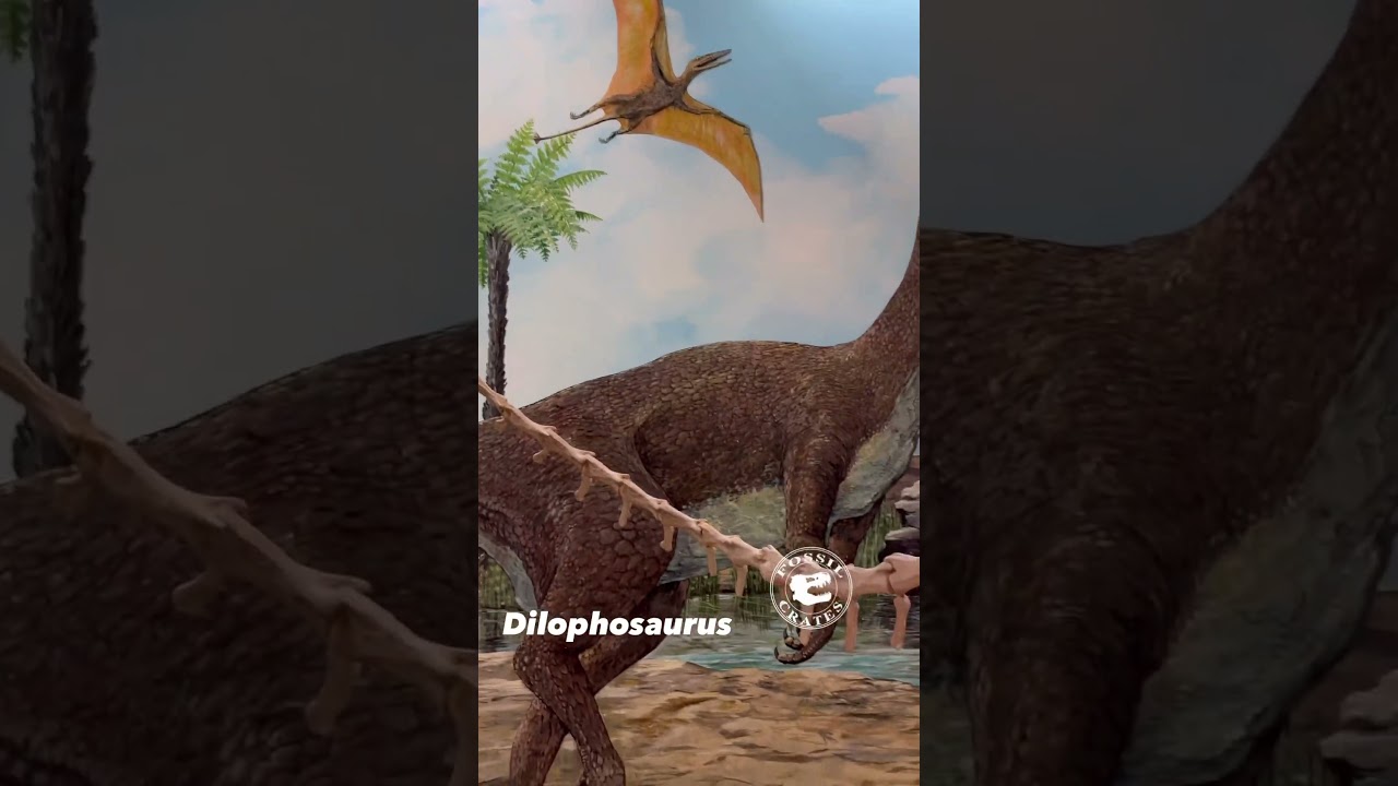 Dilophosaurus: Is This the Only 3D Mount?