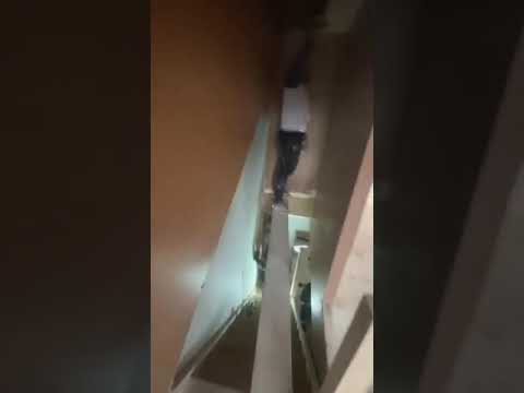 Hallway plastering