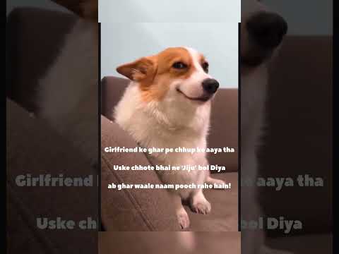 funny memefunny memeshappy birthday funny memefunny meme picturesfunny memes 2024friday funny meme