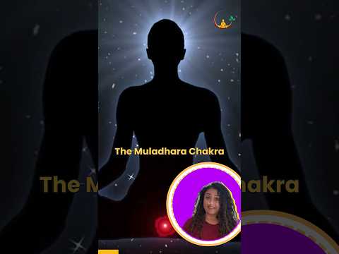 The Muladhara Chakra, also known as the Root Chakra, is the first energy center in body.#yoga#chakra