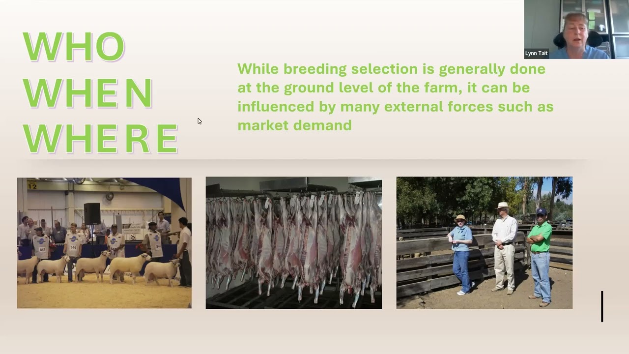Principles of Breeding Stock Selection with Dr. Lynn Tait