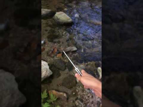 Steam Community :: Video :: Alpha beast clone (Desperado butterfly knife)