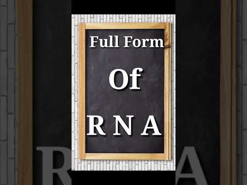 Full Form of RNA || What is the full Form of RNA