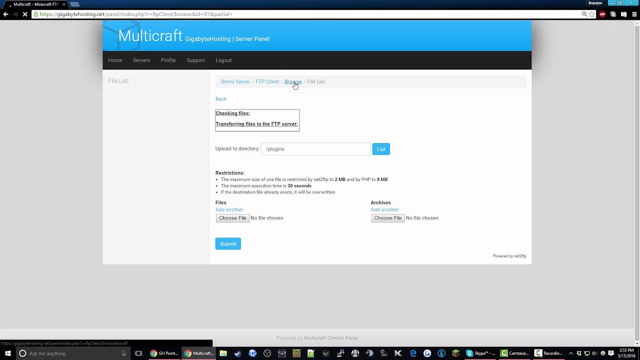 Basic Server Panel Tour | GigabyteHosting