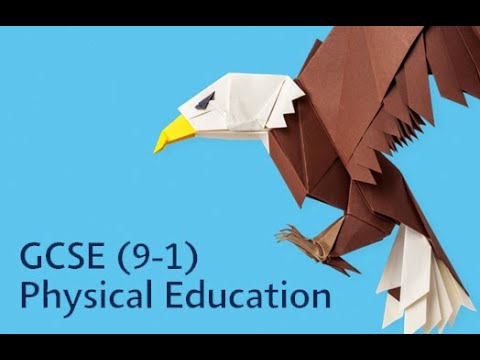 Pearson Edexcel GCSE PE: Summer 2022 Feedback - Components 3 and 4