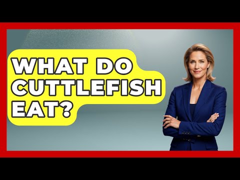 What Do Cuttlefish Eat? - The Marine Life Explorer
