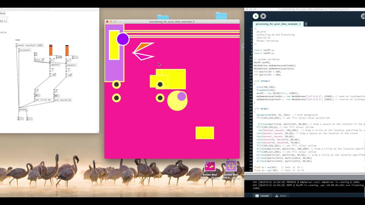processing and pure data