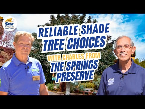 Reliable Shade Tree Choices