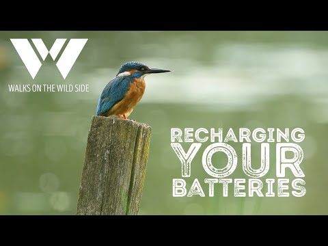 Recharge your batteries